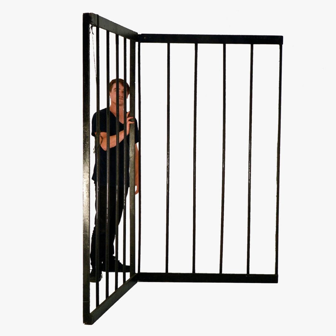 Cage or Jail Bars - 2 Pieces