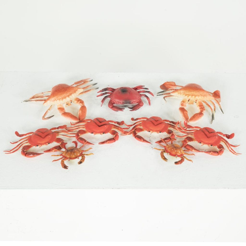 Crab