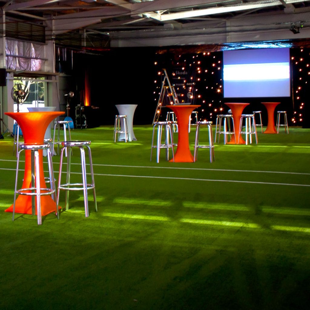 Artificial Grass - Astro Turf