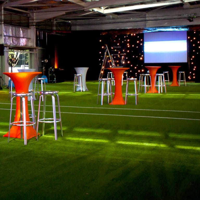 Artificial Grass - Astro Turf