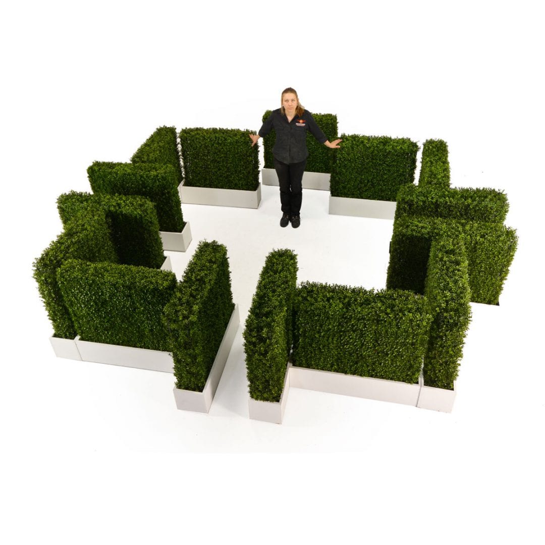 Large Hedge Wall