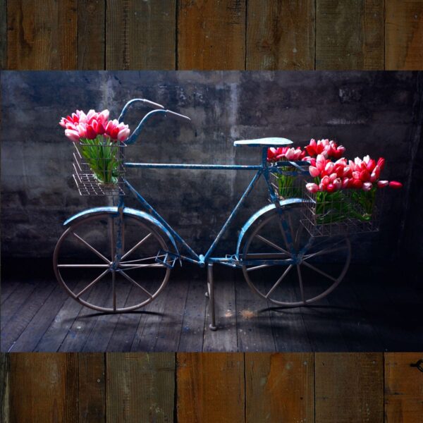 Rustic Metal Bicycle, for displays