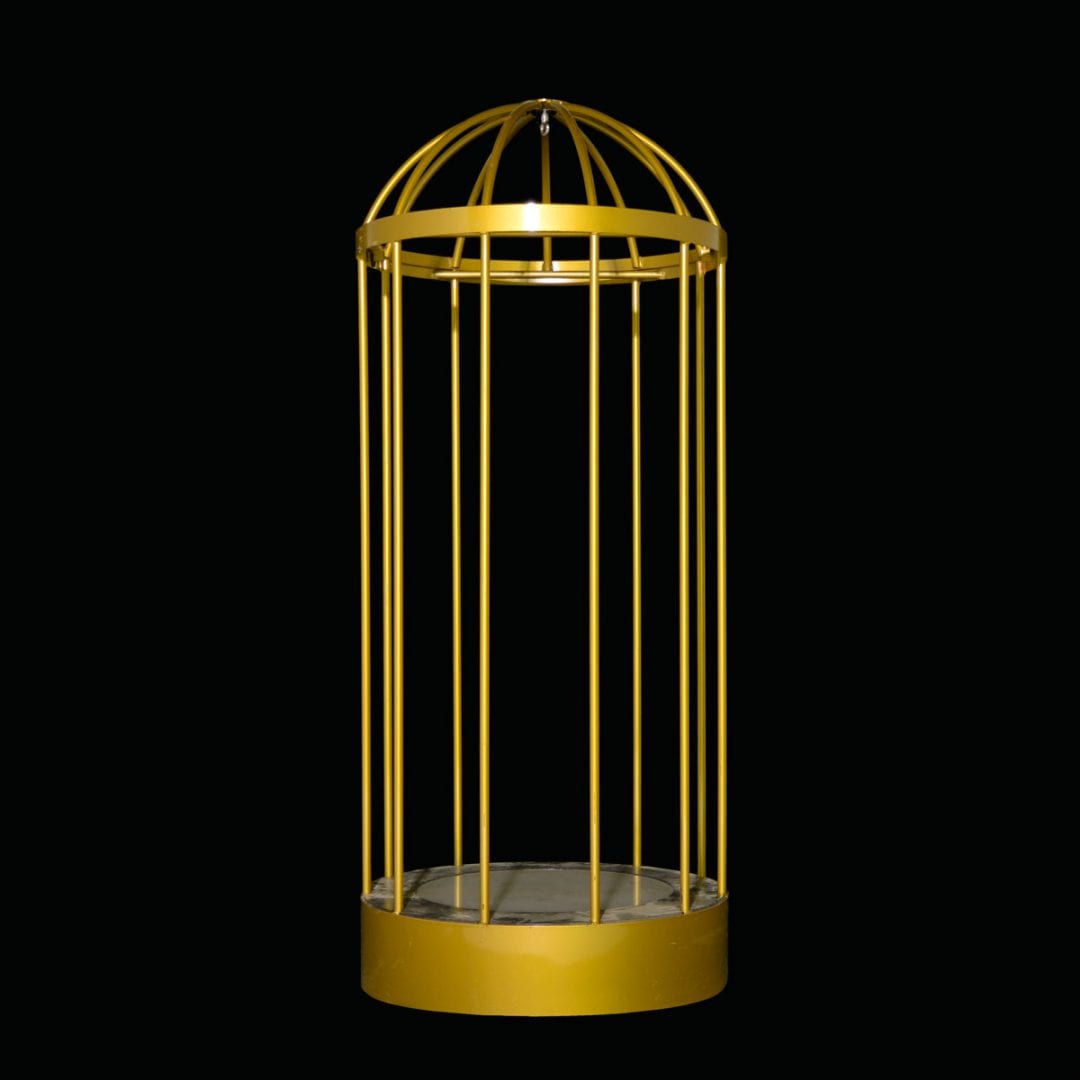 Steel Go Go Cage