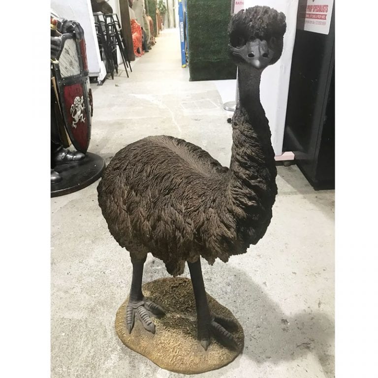 Baby Emu