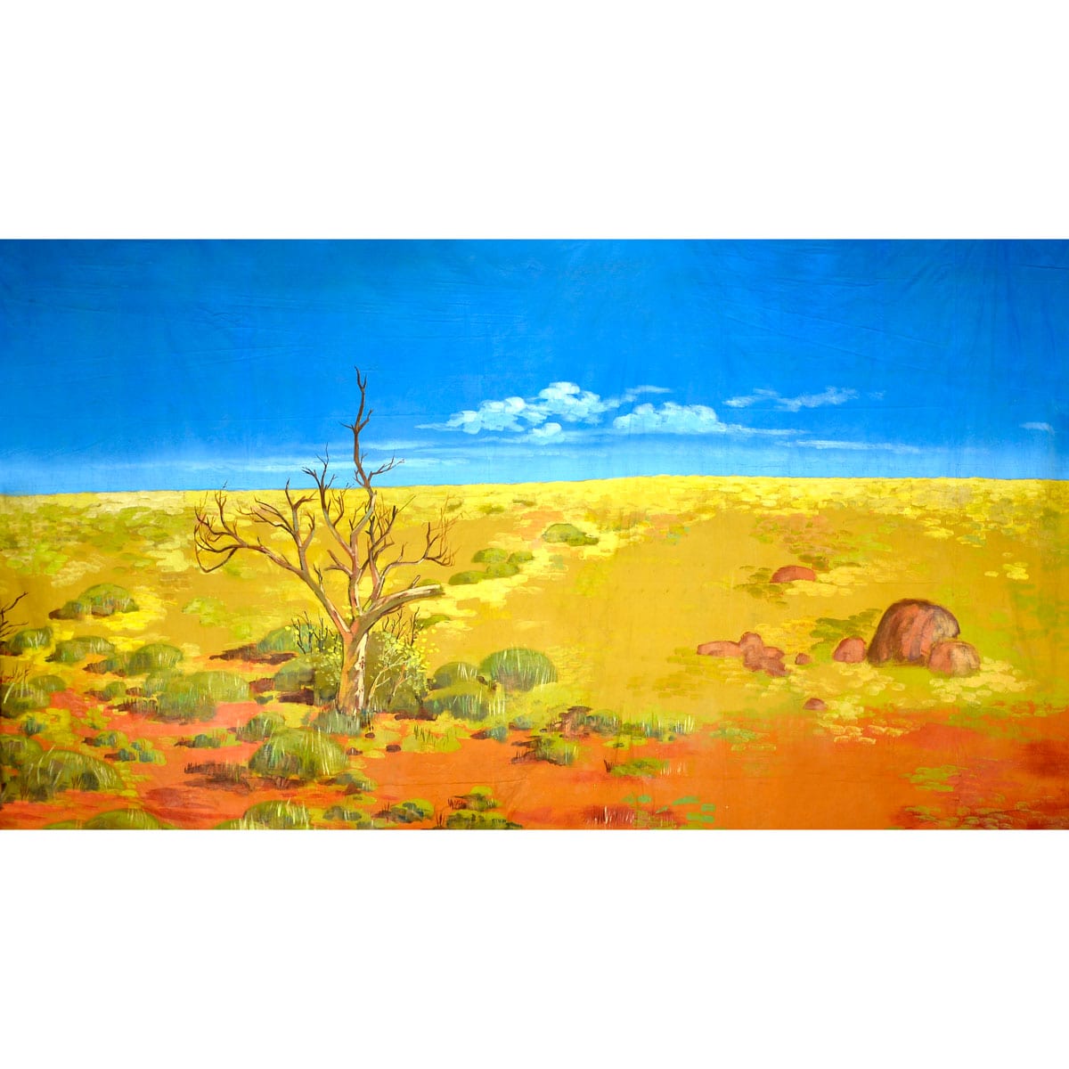 Australian Desert Landscape