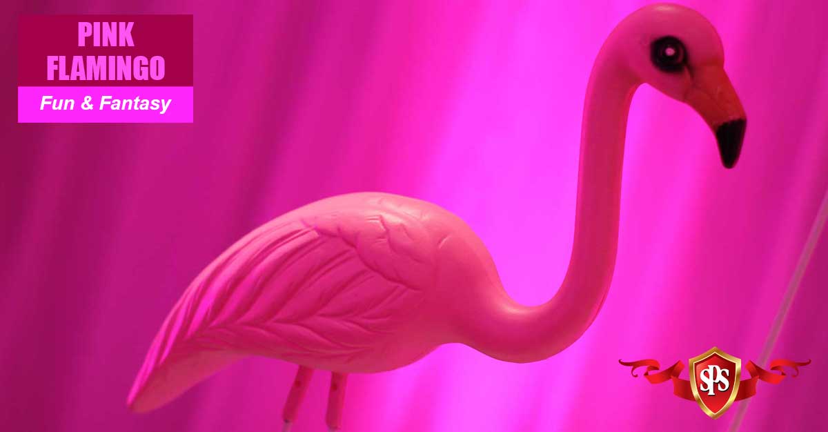 Pink Flamingo Theme
