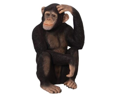 Animal - Chimpanzee Sitting Statue
